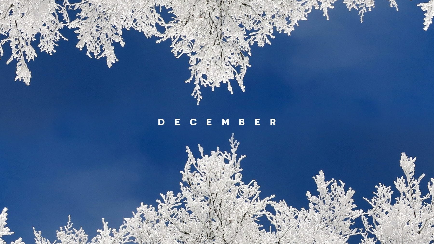 December Mega Bundle – SermonScreens.com