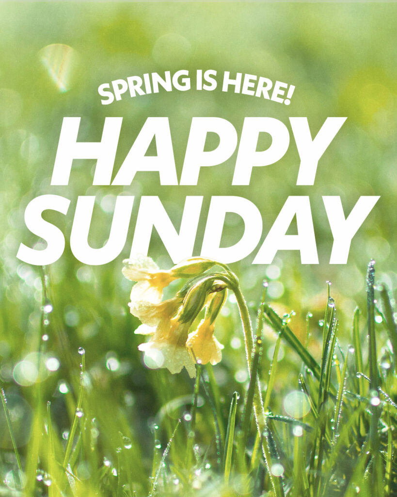 SermonScreens.com - Unlimited Church Graphics