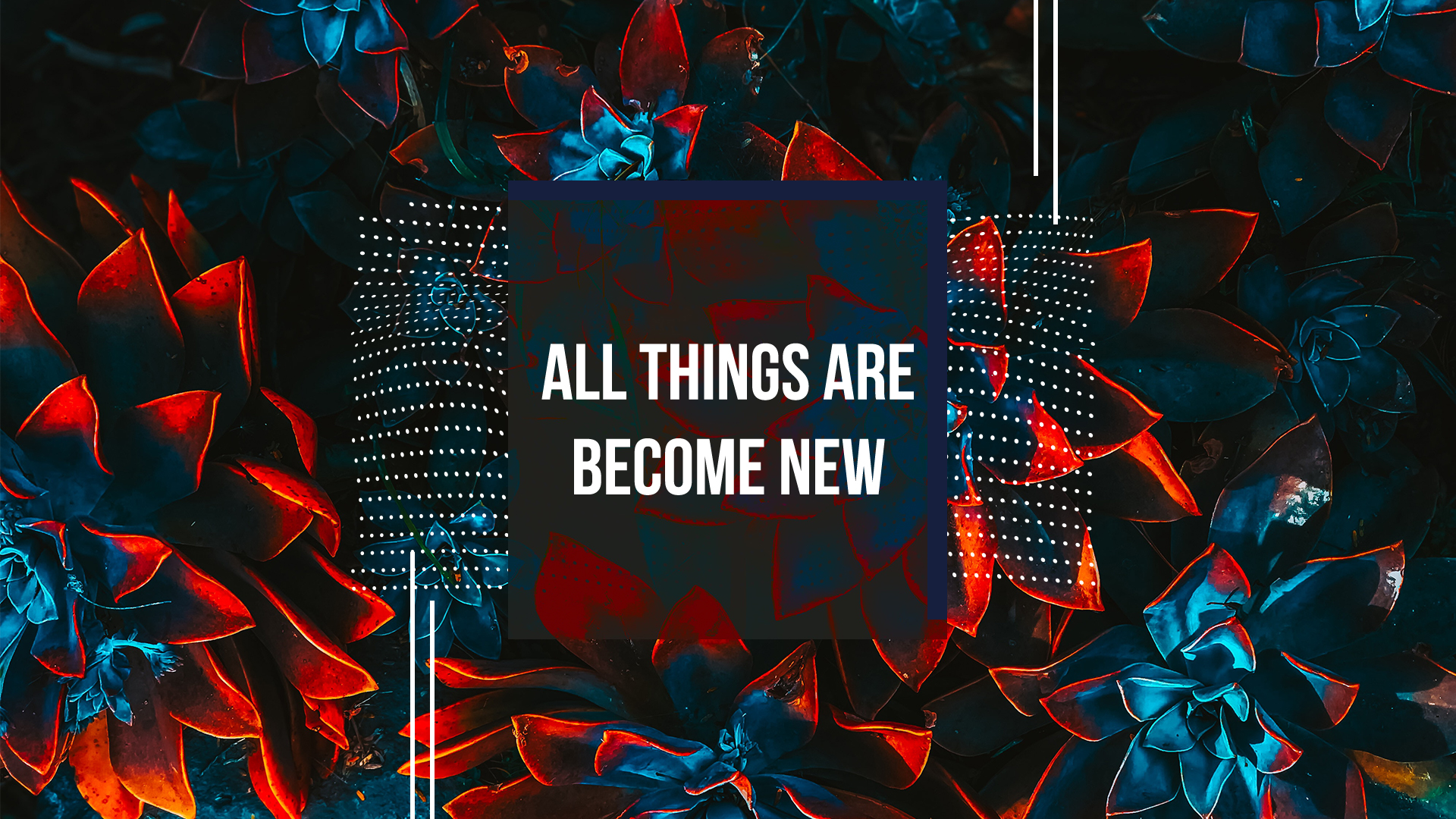 Become New - SermonScreens.com